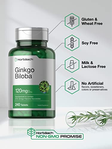 240 tablets of ginkgo biloba