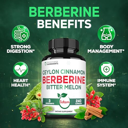 240 vegan capsules of berberine