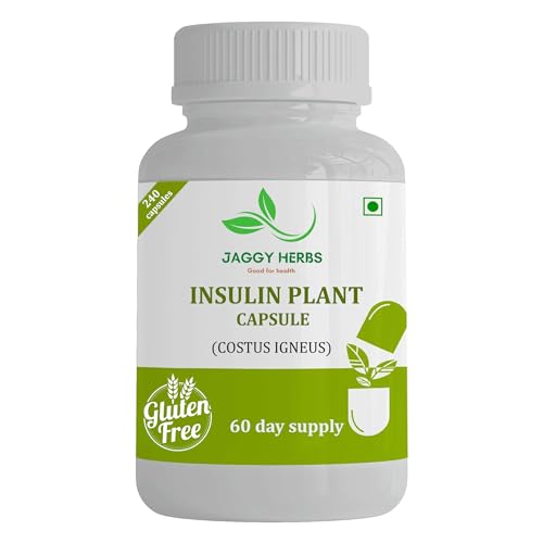240 veggie capsules for daily nutrition