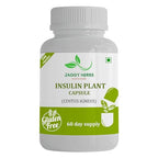 240 veggie capsules for daily nutrition