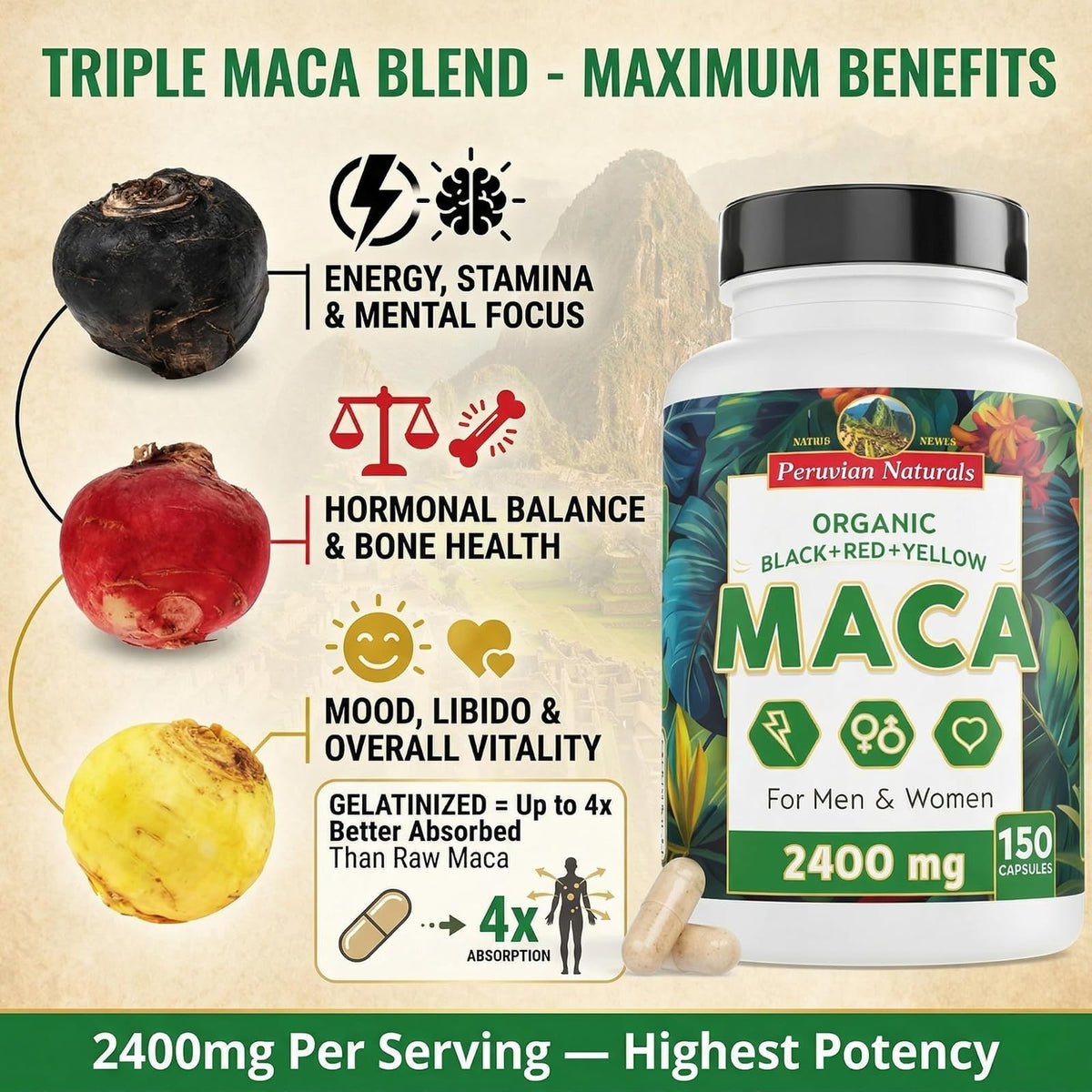 2400 mg maca root for endurance