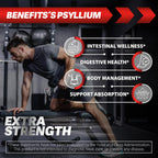 2400 mg psyllium husk dosage