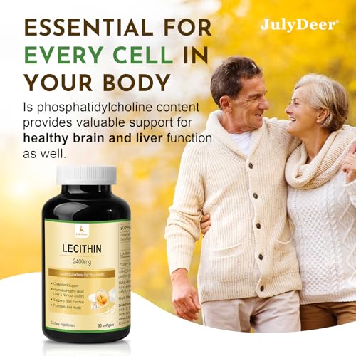 2400 mg sunflower lecithin benefits