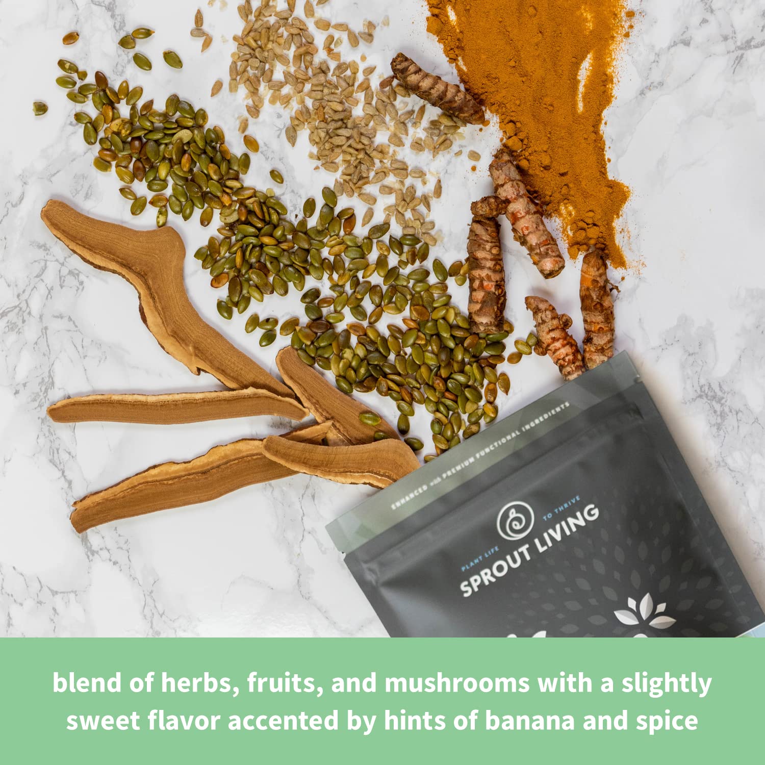 24g protein per serving plant protein