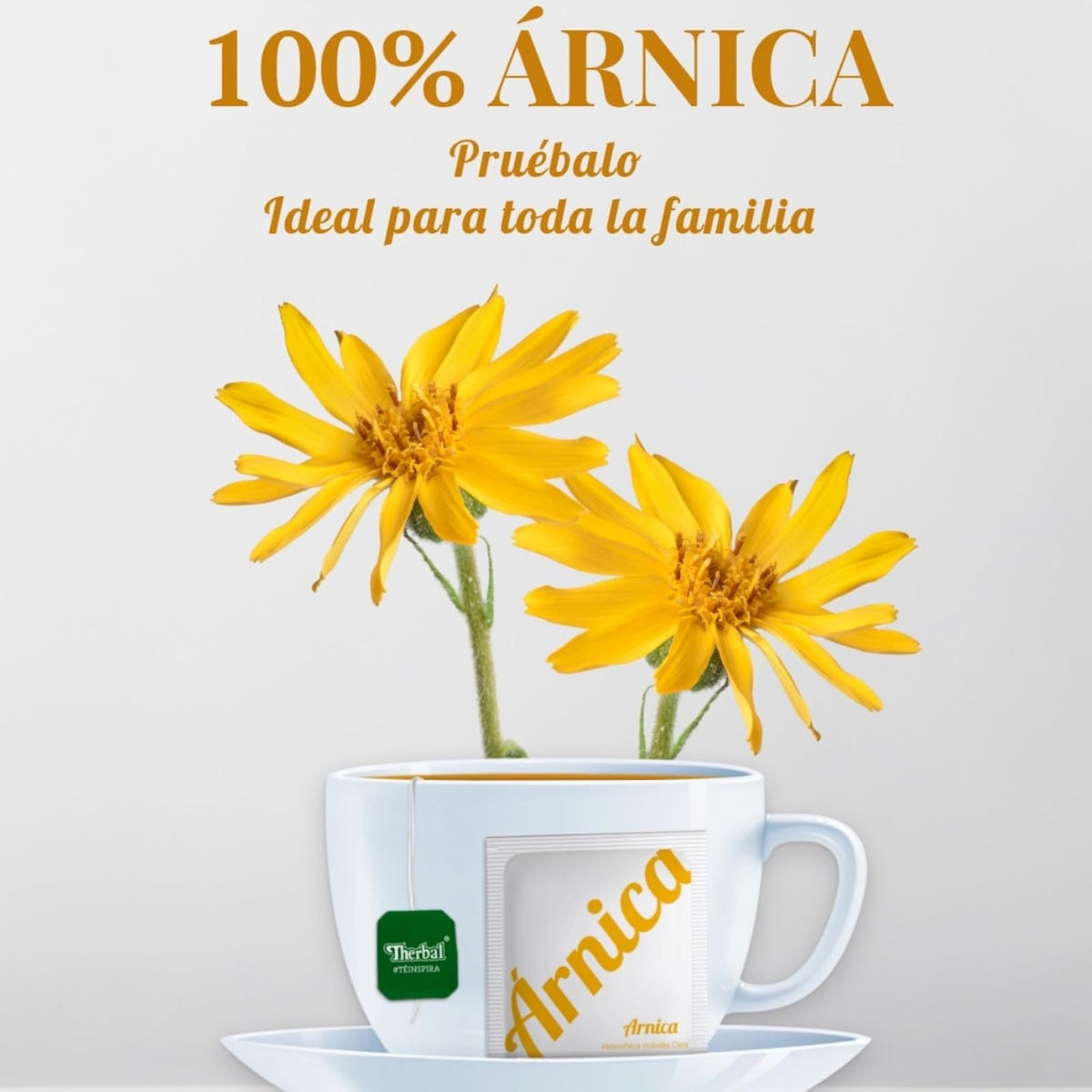 25 bags of arnica herbal tea