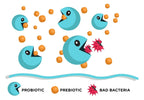 25 billion CFU prebiotic and probiotic blend