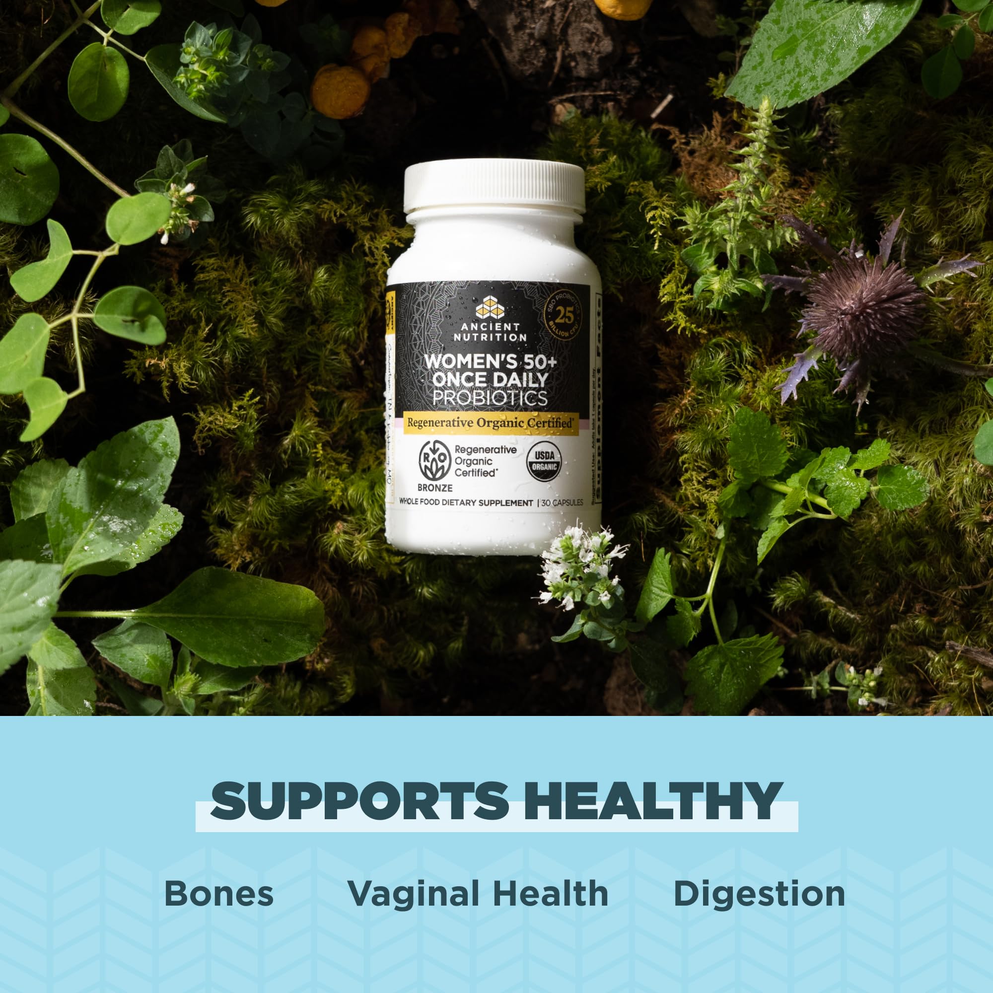 25 billion CFUs probiotic benefits