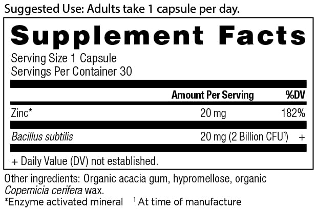 25 mg zinc for immune support
