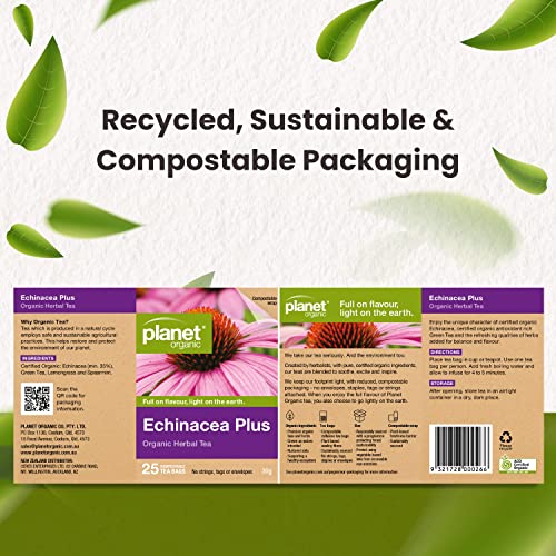 25 tea bags of echinacea goodness