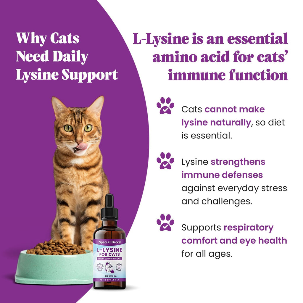 250 mg l-lysine supplement for health