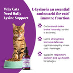 250 mg l-lysine supplement for health