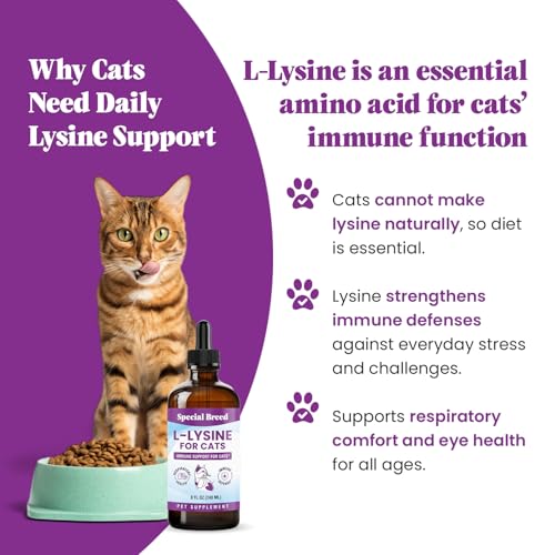 250 mg l-lysine supplement for wellness