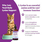 250 mg l-lysine supplement for wellness