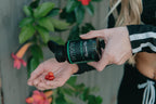 250 mg l-theanine liquid softgels