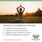 250 mg lion's mane gummies for brain health
