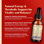 250 mg mushroom tonic for wellness