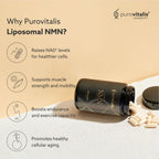 250 mg NMN for energy support