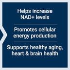 250 mg NMN supplement benefits