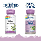 250 mg olive leaf capsules