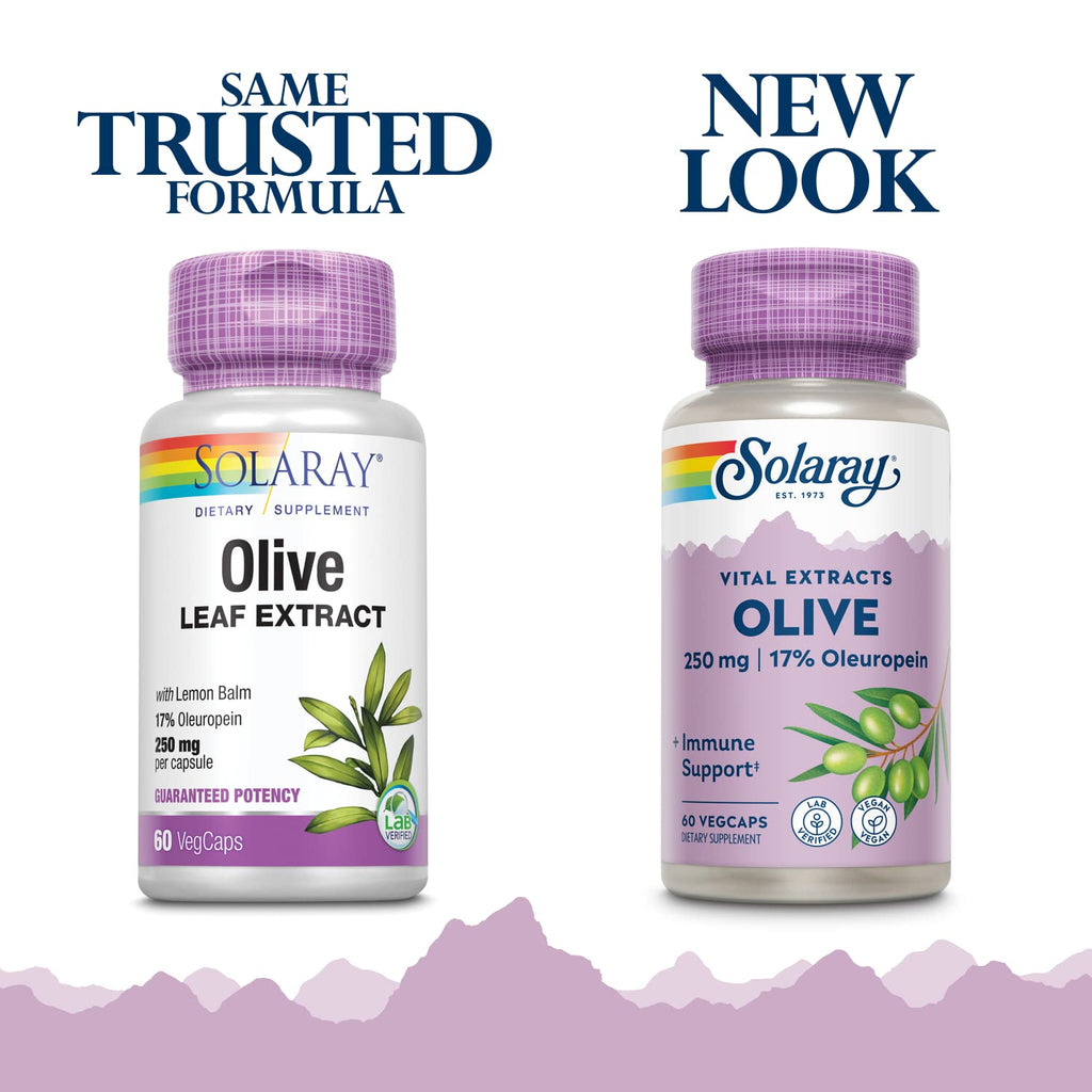 250 mg olive leaf health benefits