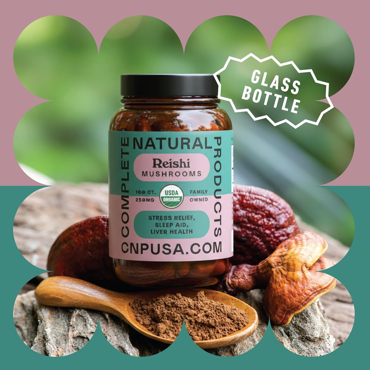 250 mg Reishi mushroom health benefits