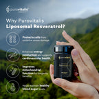 250 mg resveratrol antioxidant supplement