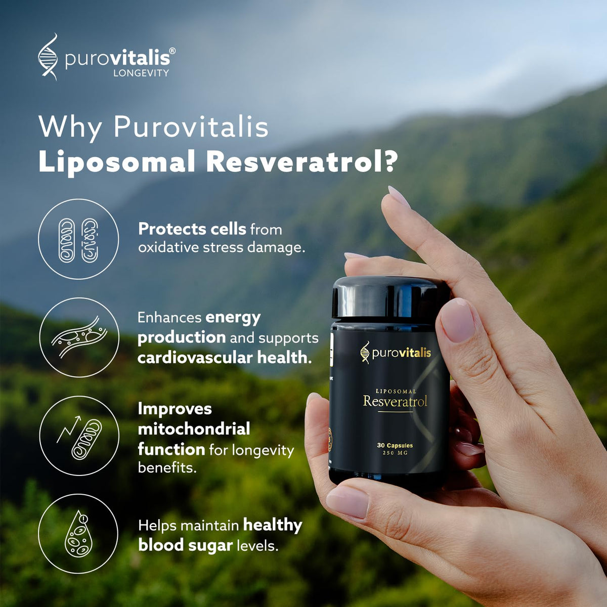 250 mg resveratrol antioxidant supplement