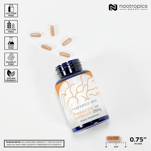 250 mg shilajit for cognitive support