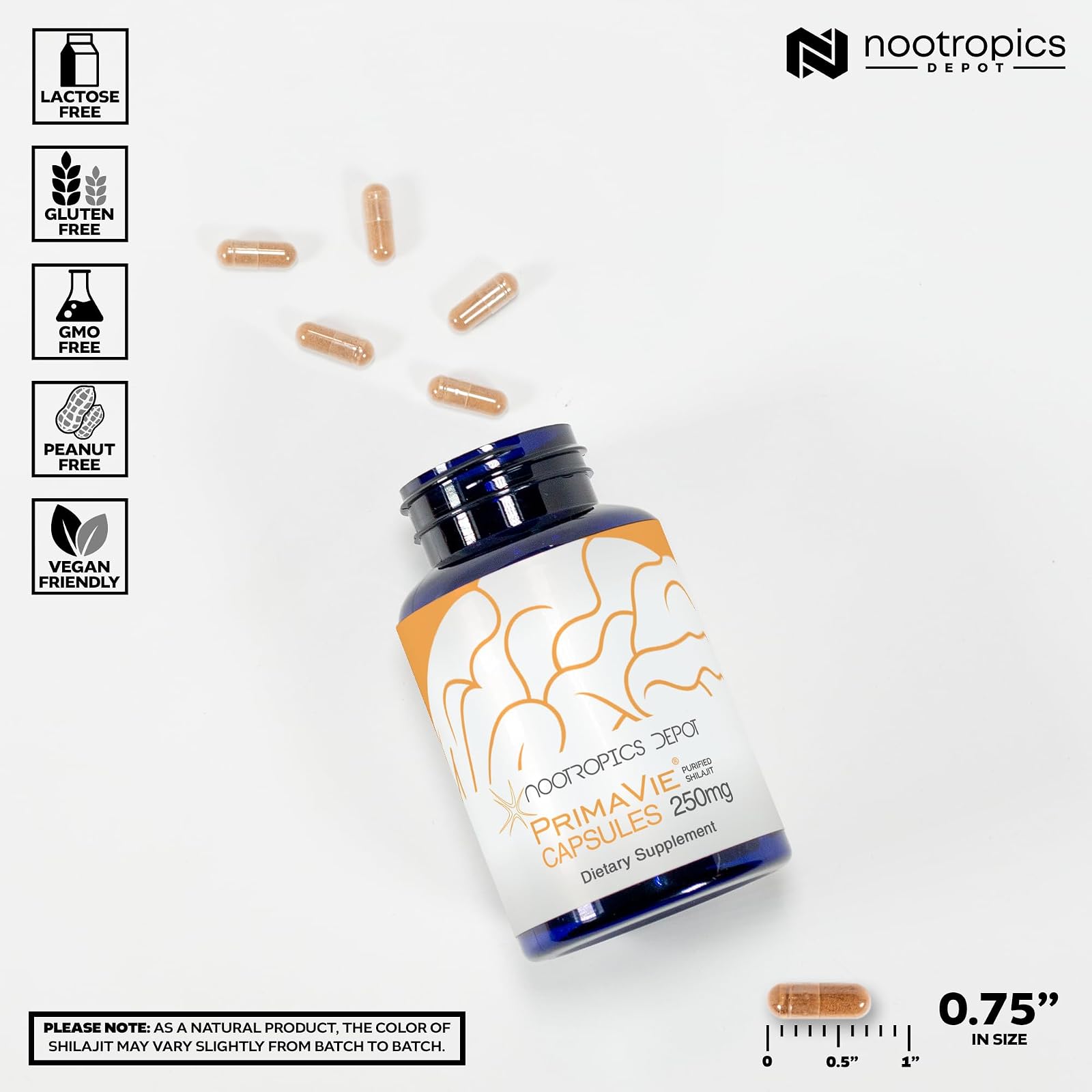 250 mg shilajit for enhanced focus
