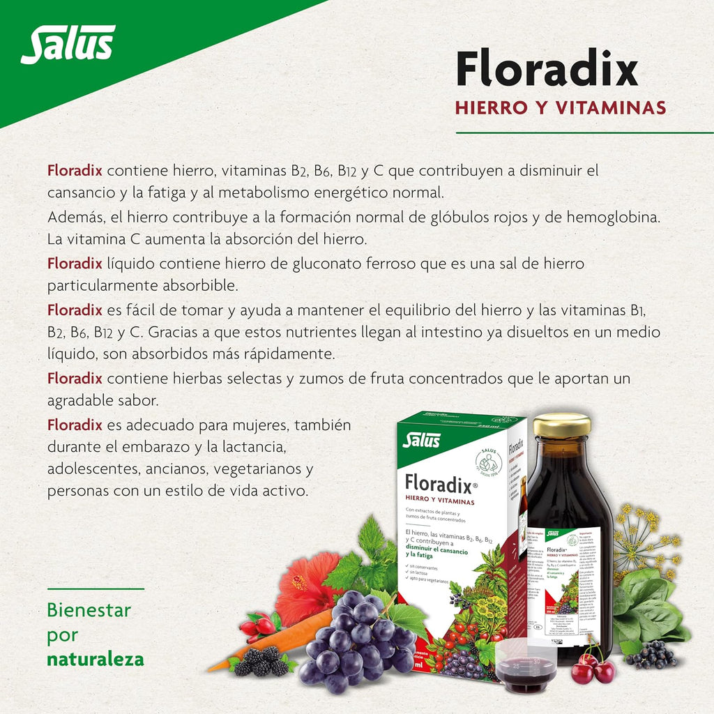250 ml Floradix iron liquid