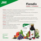 250 ml Floradix iron liquid