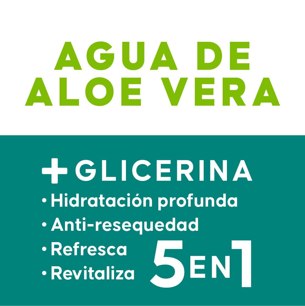 250 ml Jaloma Aloe Vera drink
