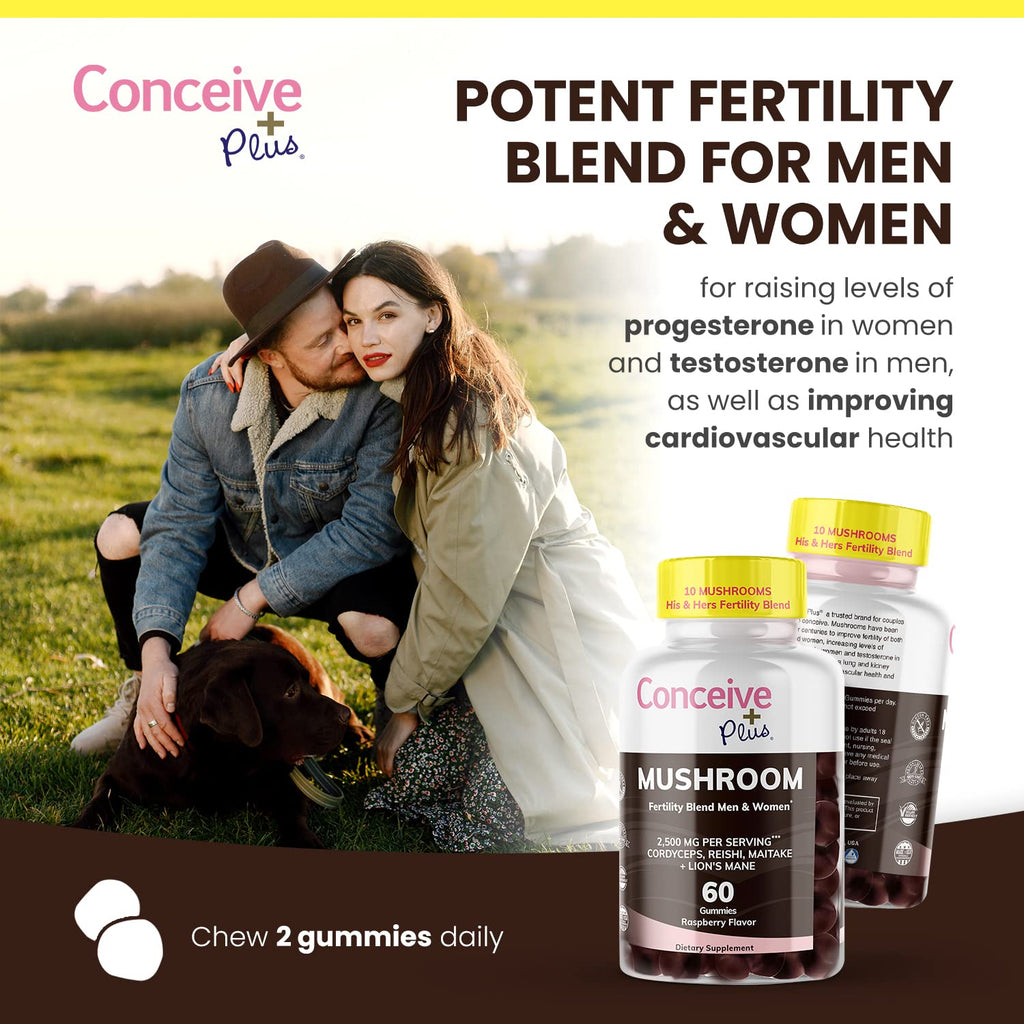 2500mg mushroom complex for wellness