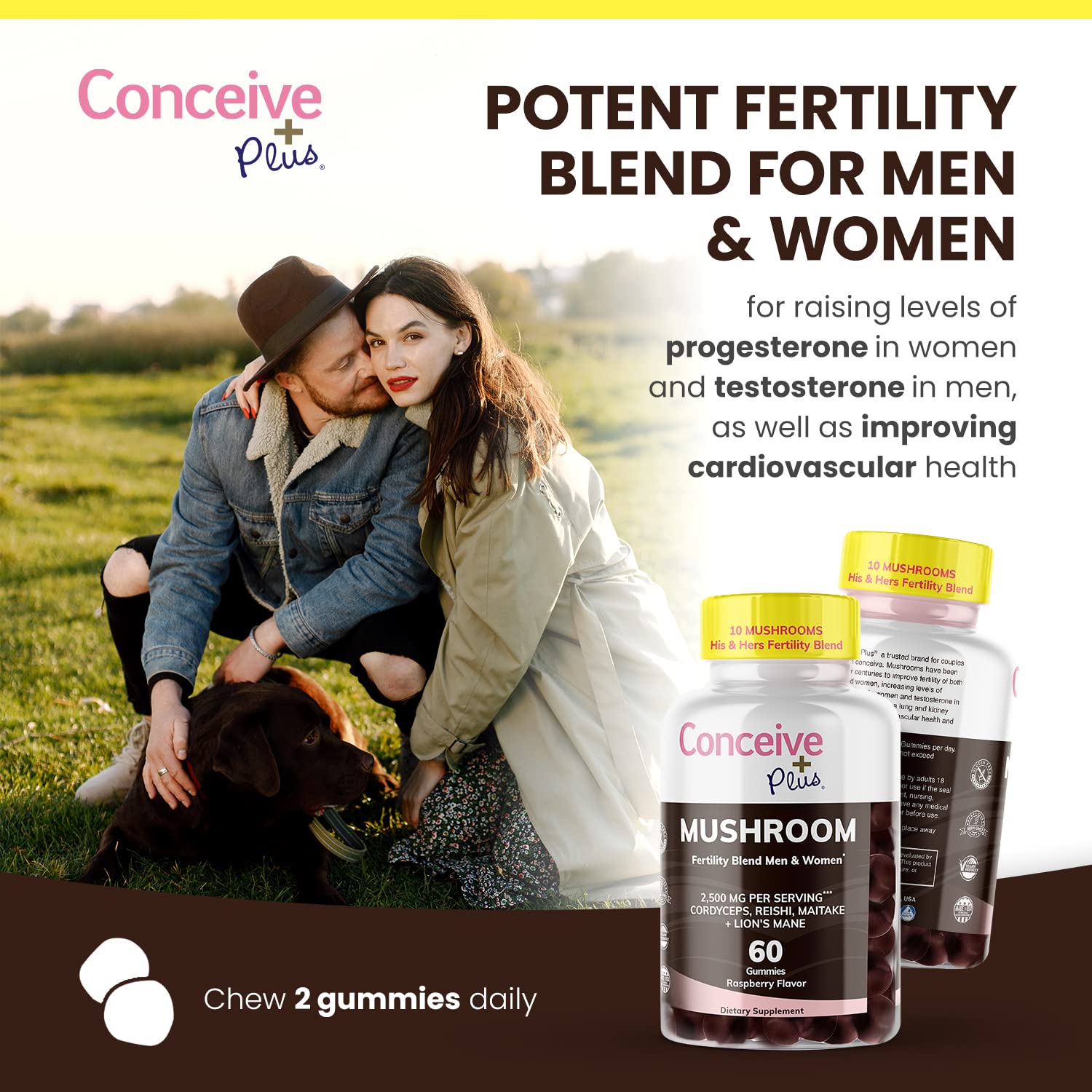 2500mg mushroom complex for wellness