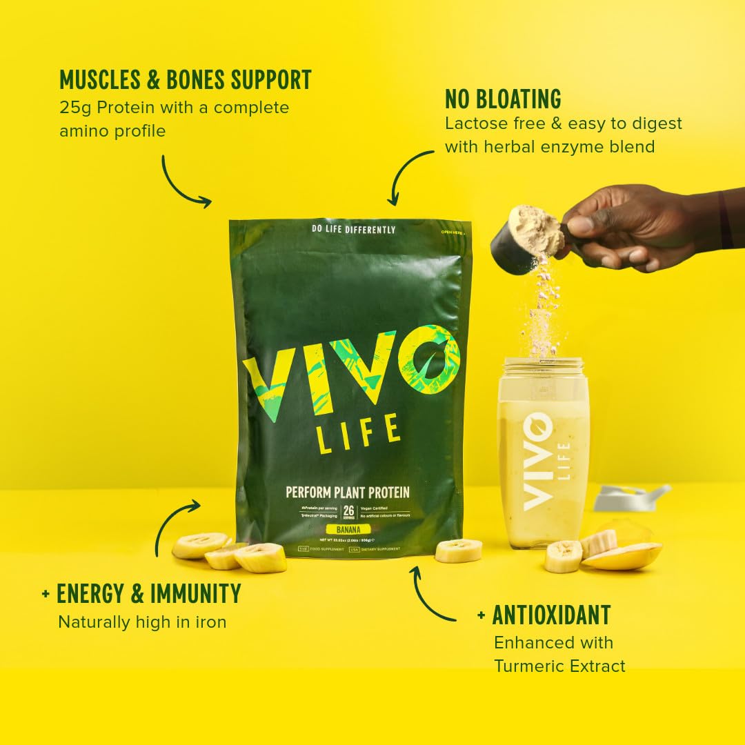 25g plant based protein powder