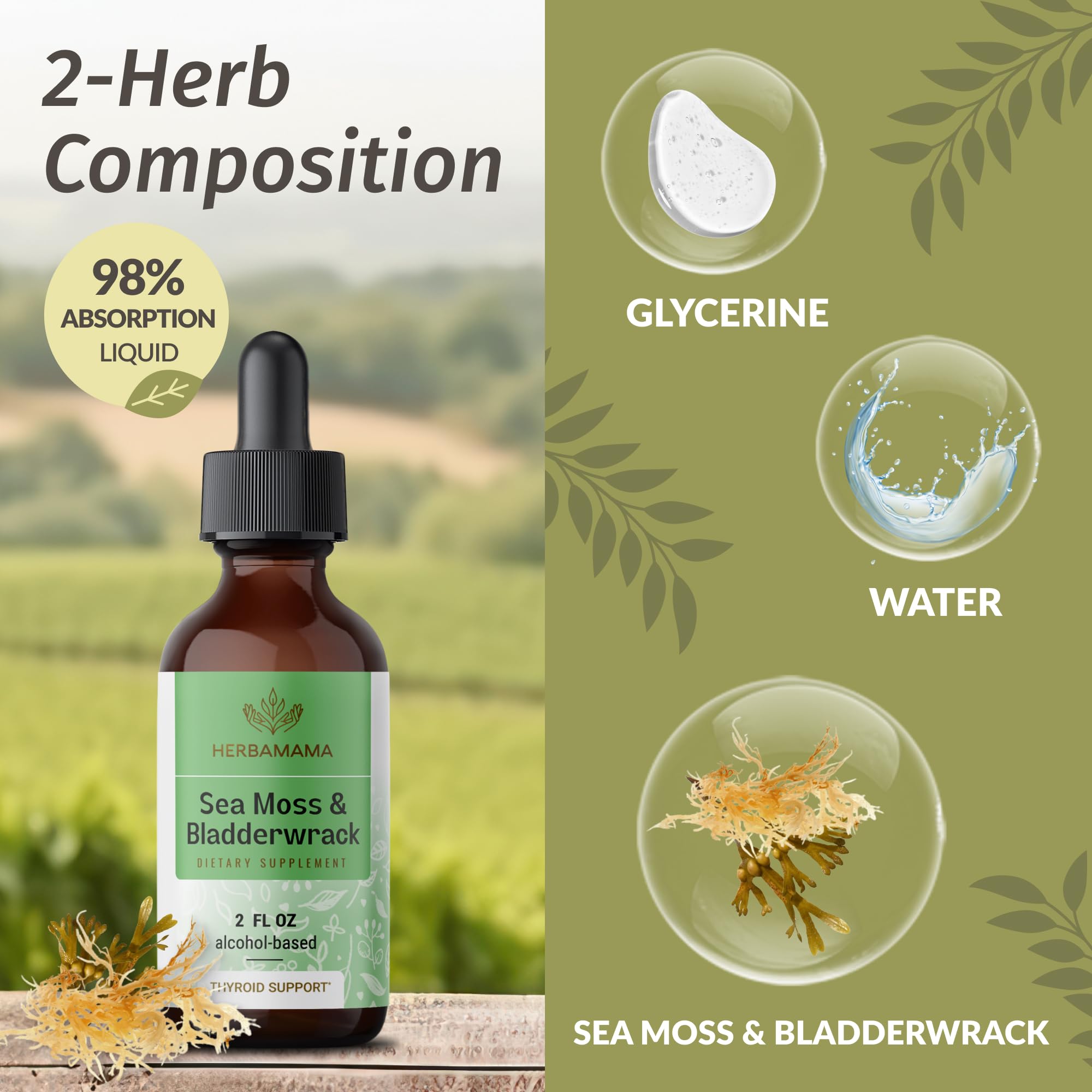 28-day supply of sea moss