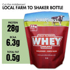 28g protein per serving