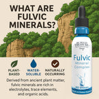 295 mg trace minerals for health