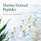 3-pack marine elastin peptides benefits