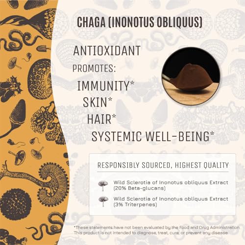 30% beta glucans mushroom supplement