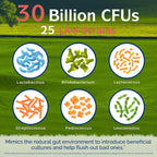 30 billion CFU probiotic capsules