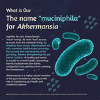 30 capsules of Akkermansia prebiotics