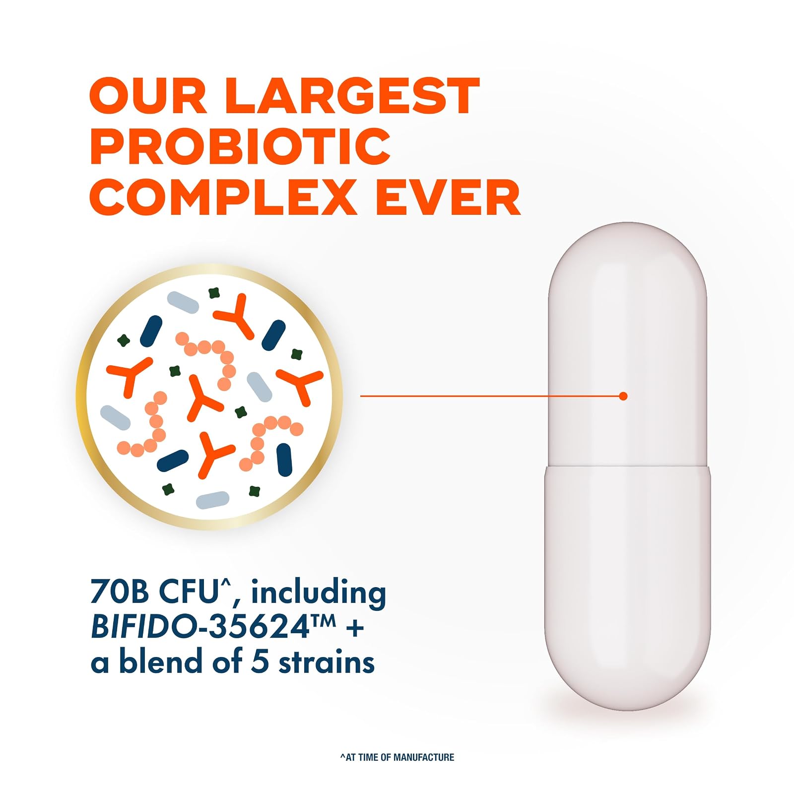 30 capsules of Align probiotic blend