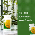 30 capsules of digestive wellness
