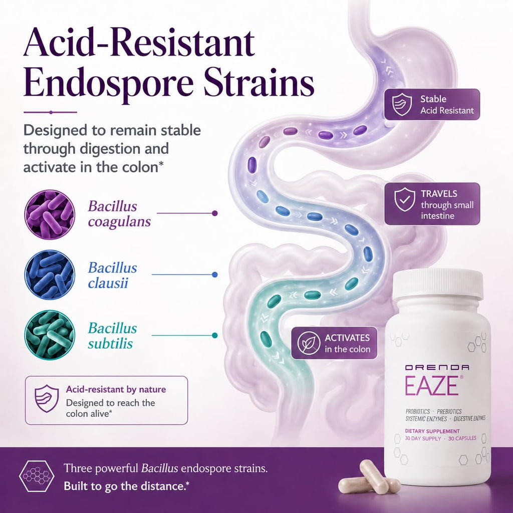 30 capsules of gut health support