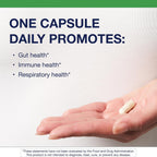 30 capsules of kids probiotic