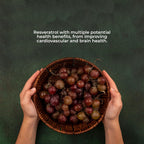 30 capsules of powerful resveratrol