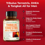 30 capsules of Tribulus Terrestris