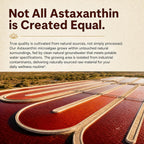 30 count astaxanthin gummies for daily use