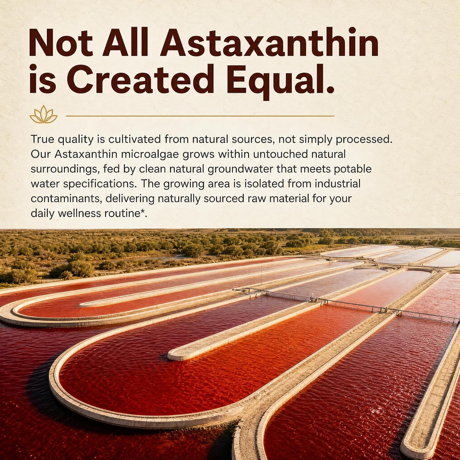 30 count astaxanthin gummies for daily use